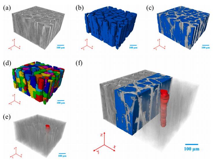 应用分享 | 三维X射线显微镜（3D XRM/Micro CT）技术在食品科学研究中的应用_束蕴仪器（上海）有限公司