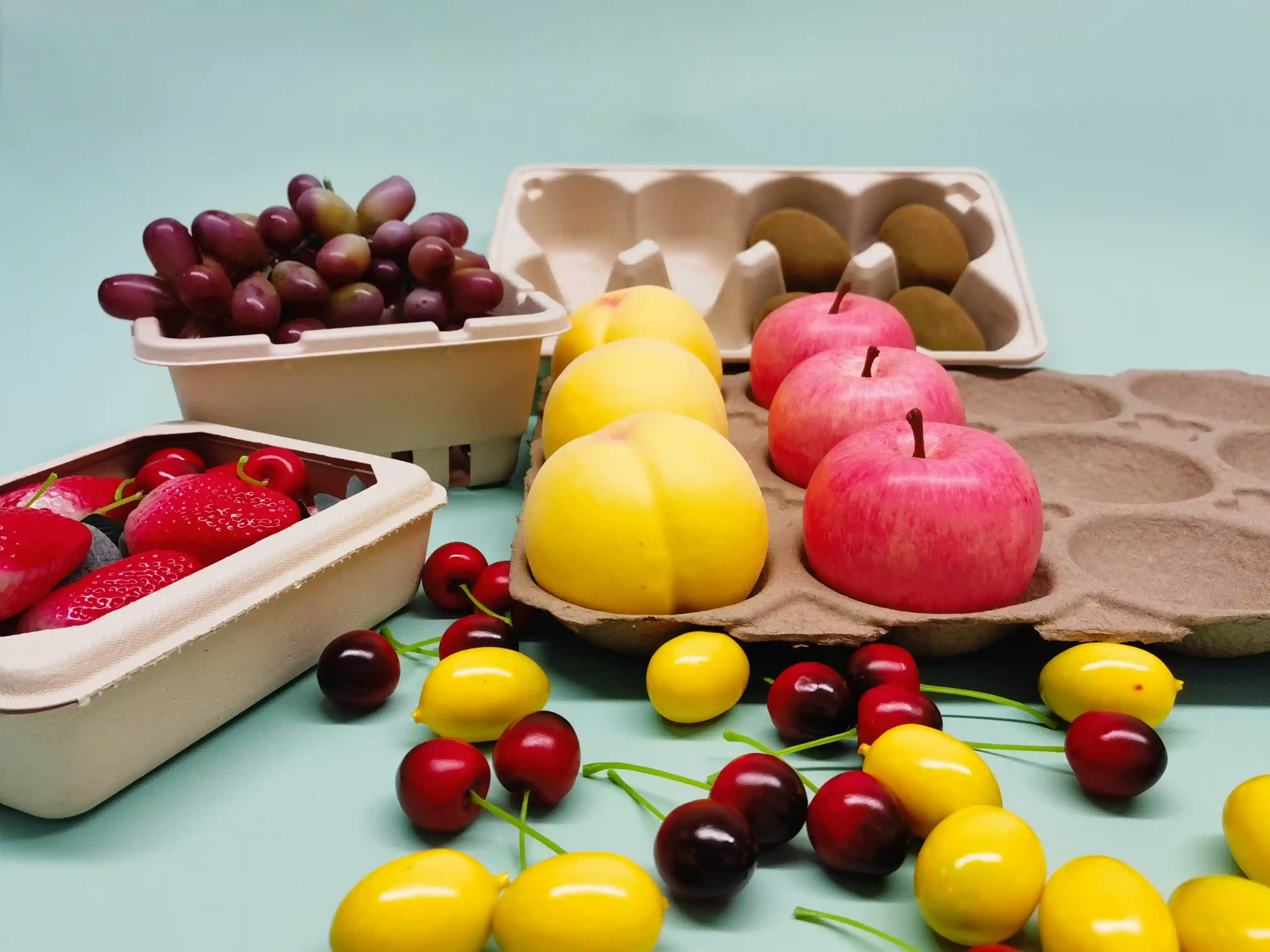 Sustainable Pulp Molded Eco-Friendly Packaging Company-G-COVE