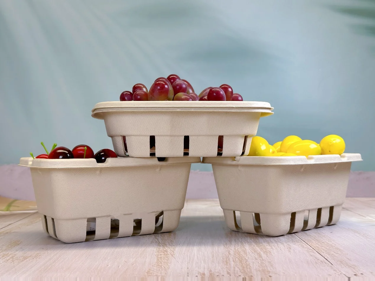 G-COVE Pulp Moulded Fruit and Vegetable Containers, a tiny and elegant ...