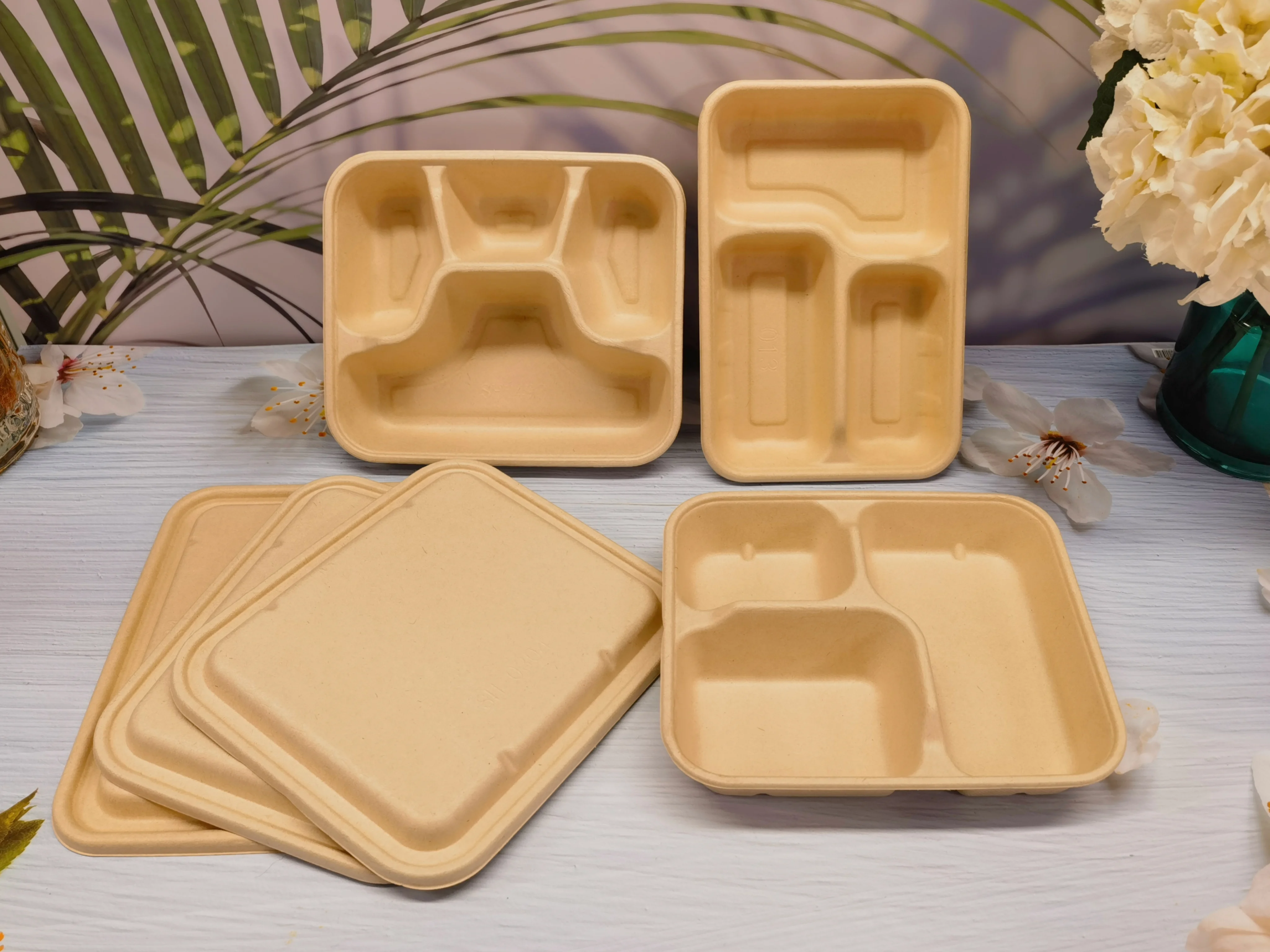 Pulp Molding Technology - Dry Press vs Wet Press | G-COVE