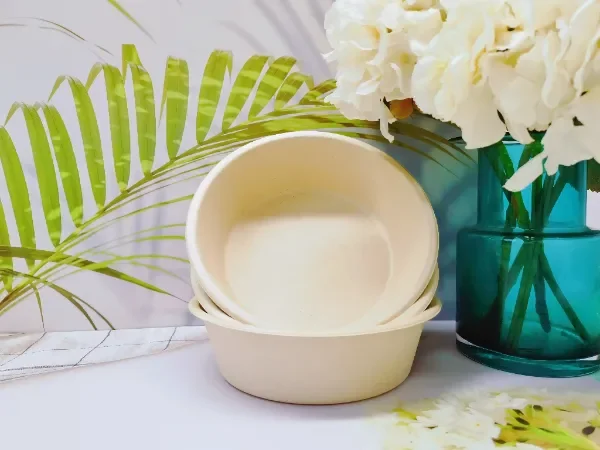 Manufacturing Process Of Natural Bamboo Pulp Biodegradable Paper Bowl