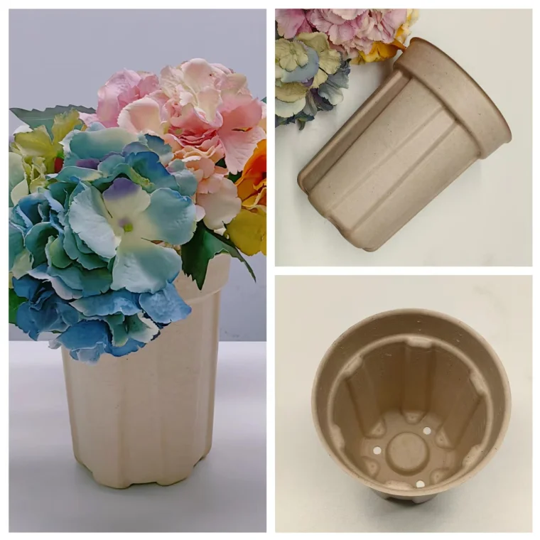 G-COVE bamboo fiber pulp molded biodegradable compostable food ...