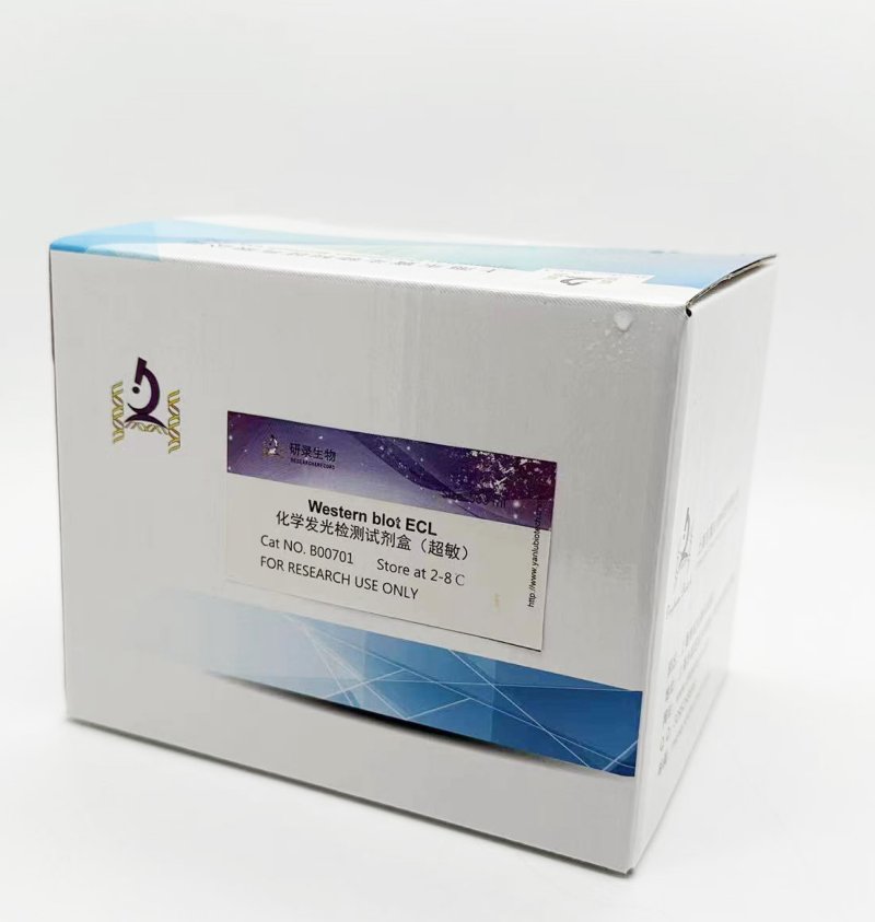 Western blot ECL 化学发光检测试剂盒（超敏）_上海研录生物医药有限公司