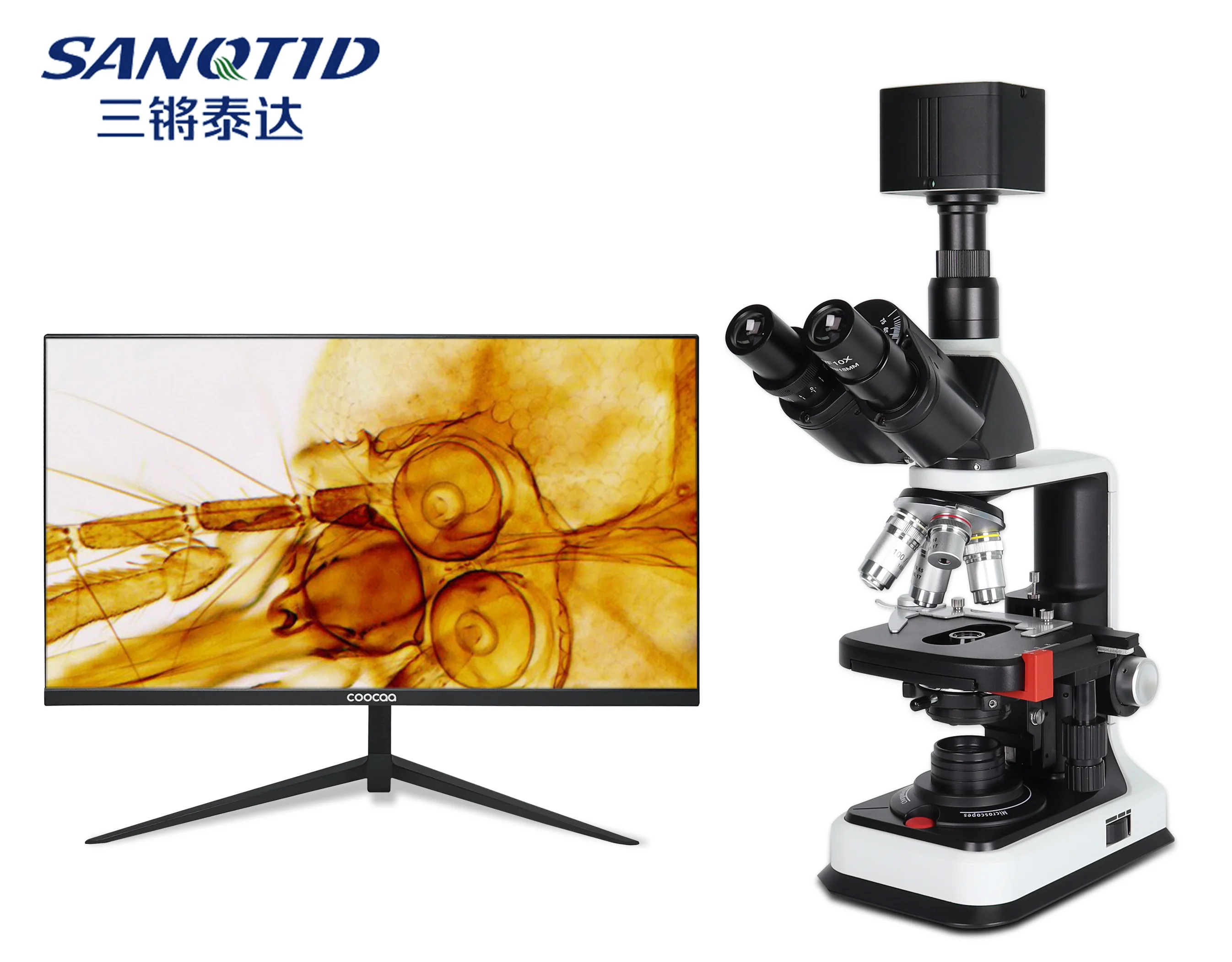 SANQTID-2K dual output biological microscope