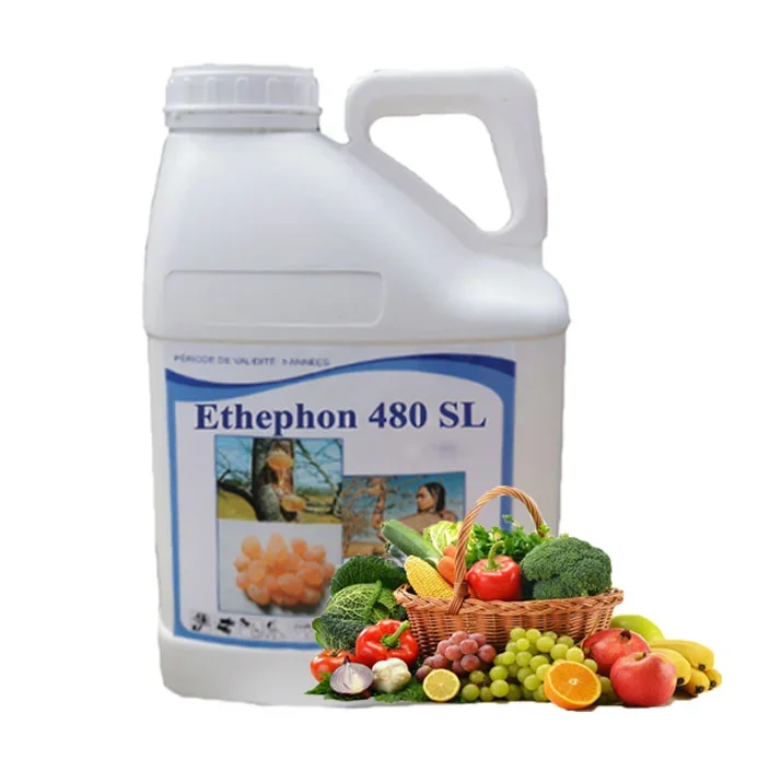 Enhance Agricultural Productivity With Agrogreat Groups Plant Growth