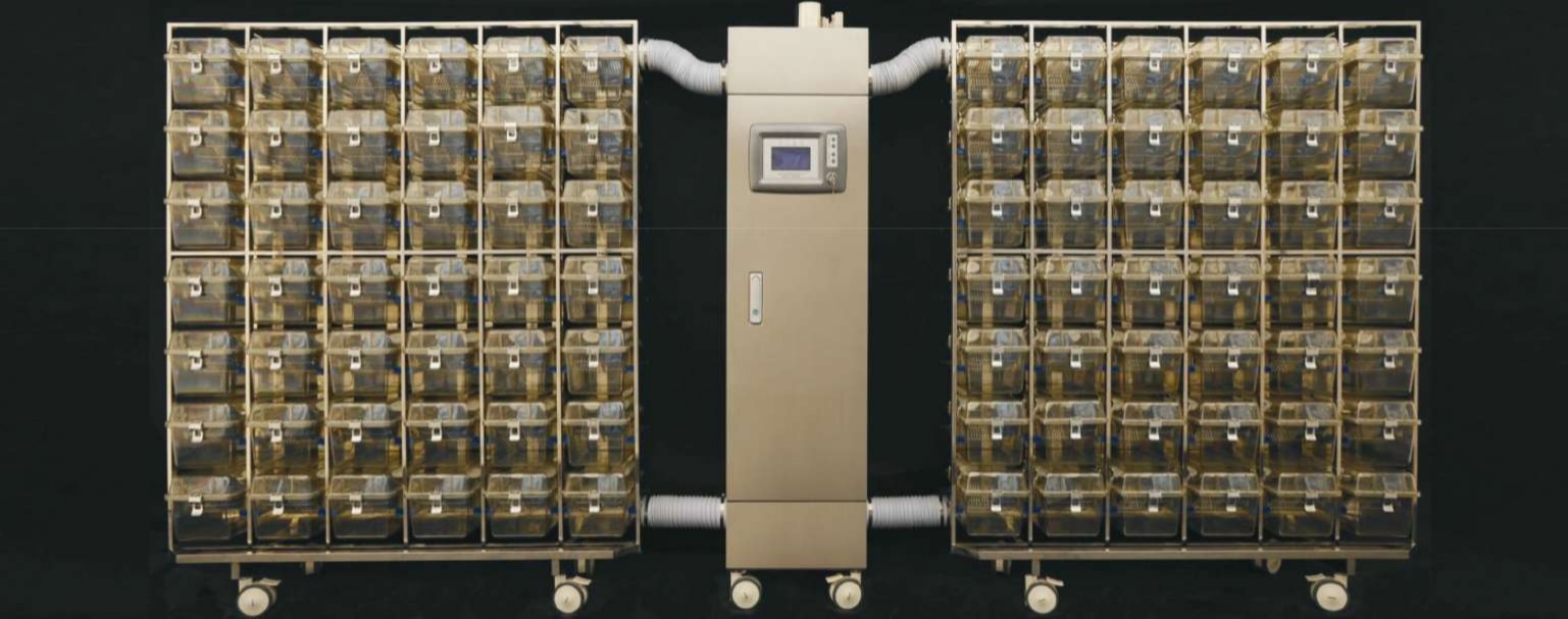 小鼠IVC_上海彰瑞生物科技有限公司