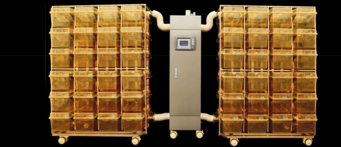 小鼠IVC_上海彰瑞生物科技有限公司