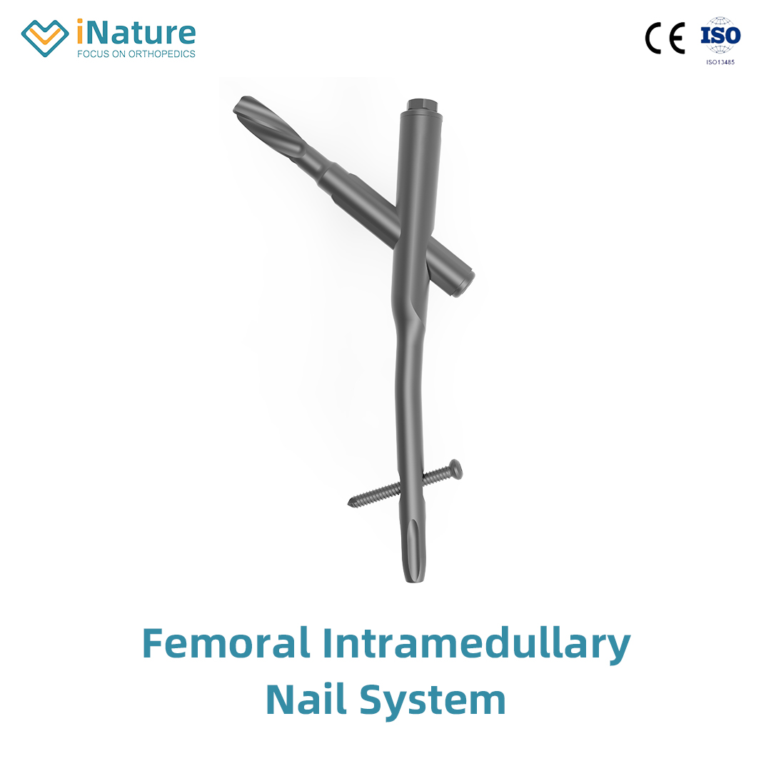 Reconstrucción femoral/Fábrica de sistemas de clavos intramedulares/Oem ...