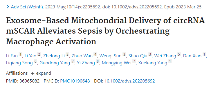 外泌体提取鉴定-研载生物科技（上海）有限公司