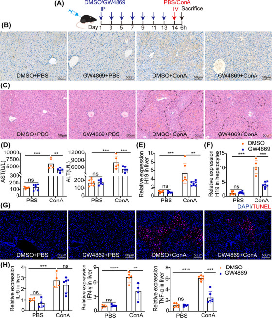 外泌体技术服务-研载生物科技（上海）有限公司