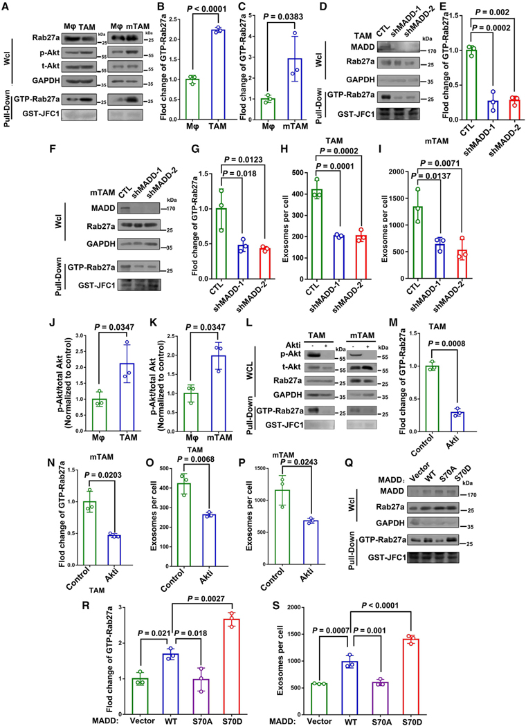 【Cell Reports】8.8分，肿瘤细胞通过增加肿瘤相关巨噬细胞衍生的外泌体来对抗抗肿瘤免疫-公司新闻-研载生物科技（上海）有限公司