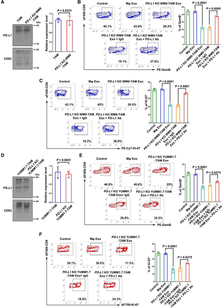外泌体技术服务-研载生物科技（上海）有限公司