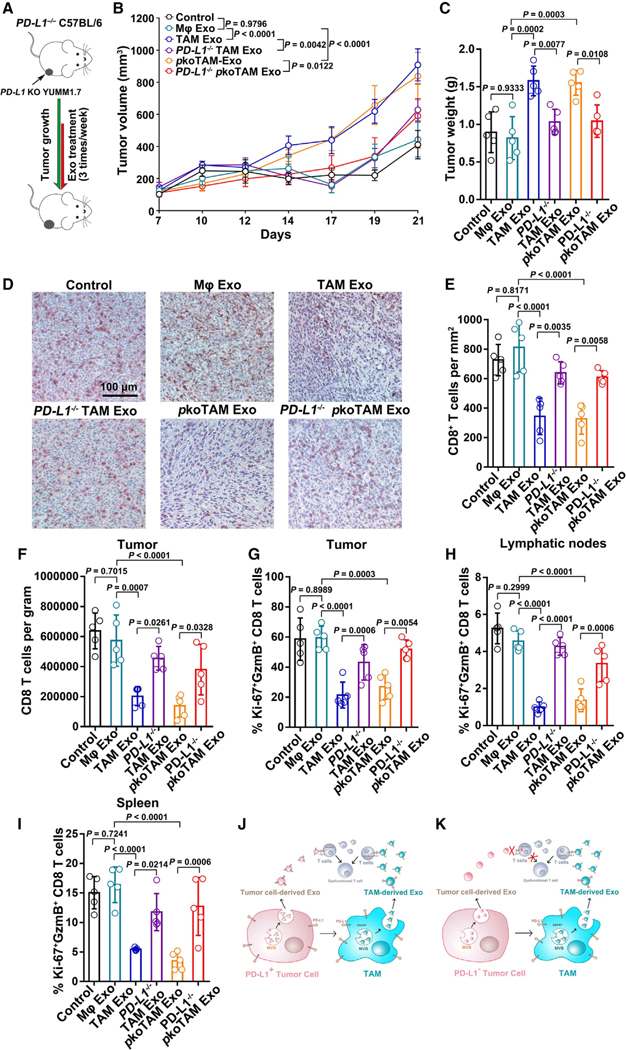 外泌体技术服务-研载生物科技（上海）有限公司