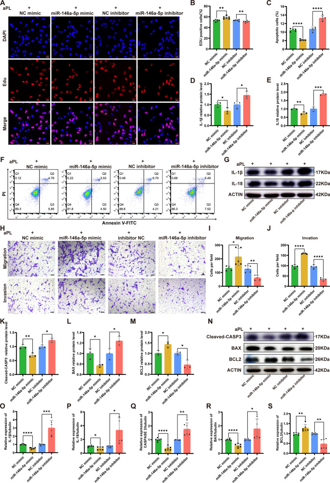 外泌体提取鉴定-研载生物科技（上海）有限公司