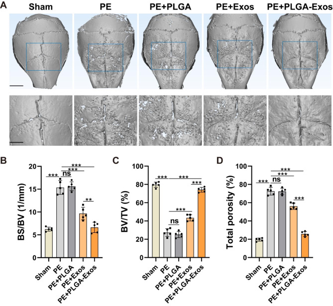 外泌体技术服务-研载生物科技（上海）有限公司