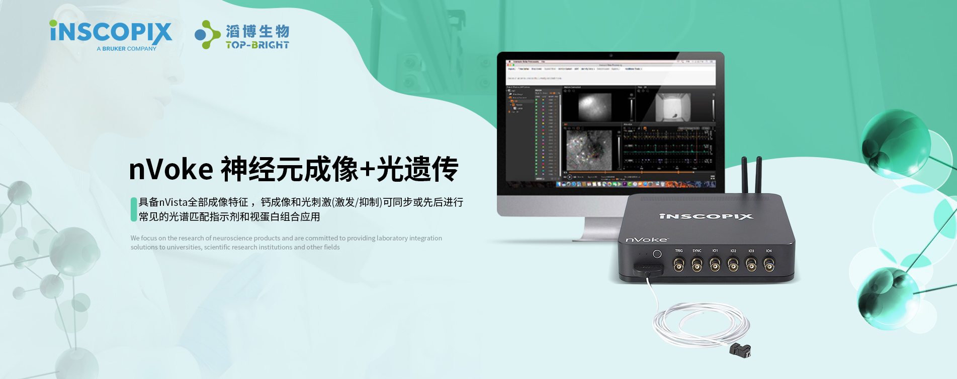 Inscopix独家代理_钙成像_nVista_双光子_因斯蔻浦(上海)生物科技有限公司