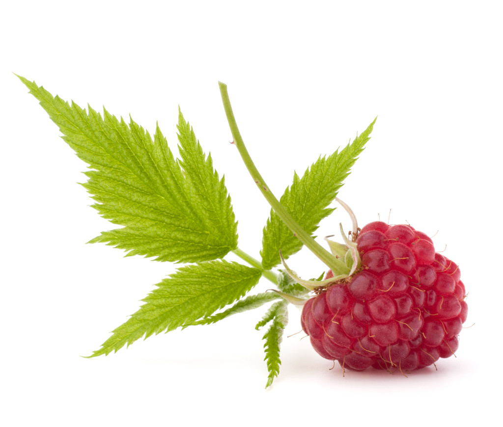 Red Raspberry Juice Powder