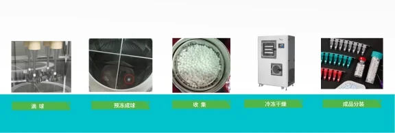 Revolutionizing IVD Industry: Guangzhou Ascend's Liquid Nitrogen ...