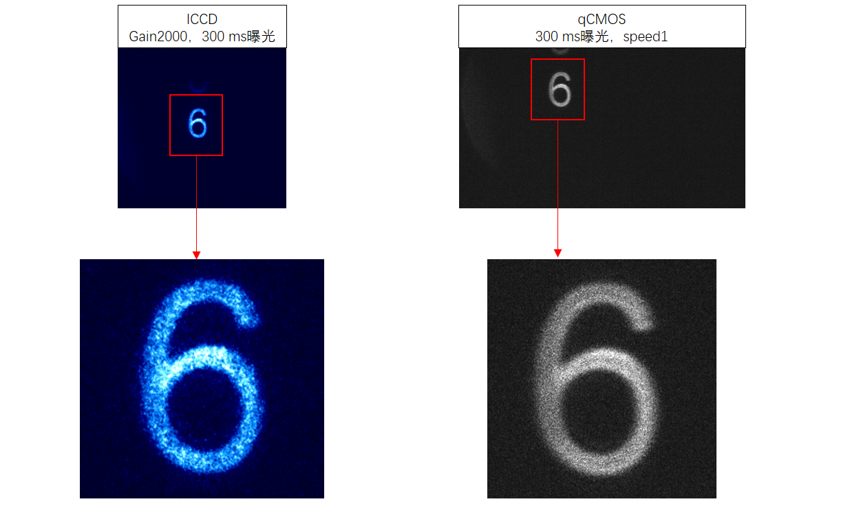 滨松ORCA-Quest qCMOS科研级相机成像案例：与EMCCD、ICCD的实测对比_东方闪光（北京）光电科技有限公司