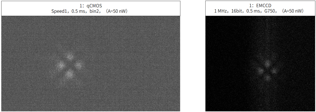 滨松ORCA-Quest qCMOS科研级相机成像案例：与EMCCD、ICCD的实测对比_东方闪光（北京）光电科技有限公司