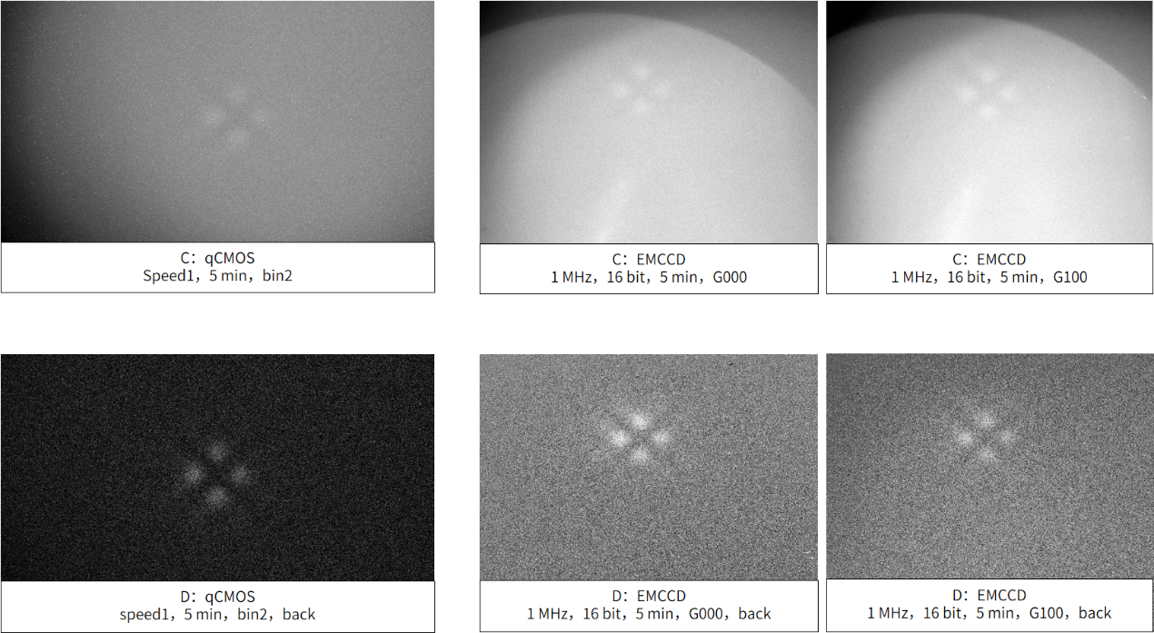 滨松ORCA-Quest qCMOS科研级相机成像案例：与EMCCD、ICCD的实测对比_东方闪光（北京）光电科技有限公司