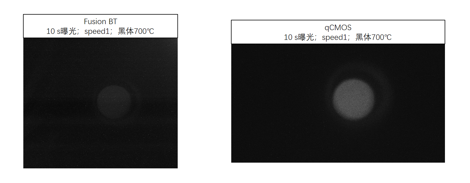 滨松ORCA-Quest qCMOS科研级相机成像案例：与EMCCD、ICCD的实测对比_东方闪光（北京）光电科技有限公司