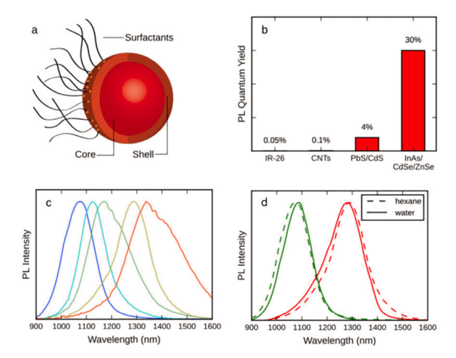 深冷InGaAs FPA相机可实现短波红外发射量子点高速分辨率体内成像13_东方闪光（北京）光电科技有限公司