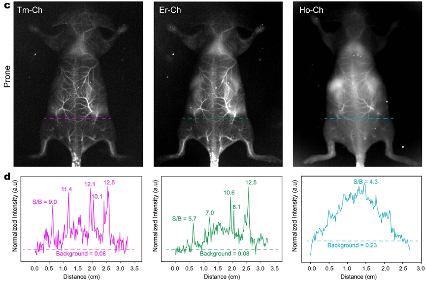 用于体内实时动态多重成像的NIR-II窗口中的荧光放大纳米晶体_东方闪光（北京）光电科技有限公司