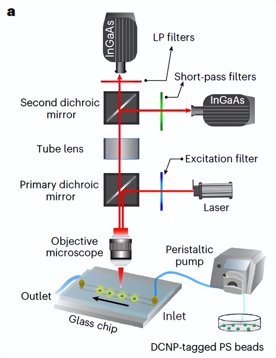 用于体内实时动态多重成像的NIR-II窗口中的荧光放大纳米晶体_东方闪光（北京）光电科技有限公司